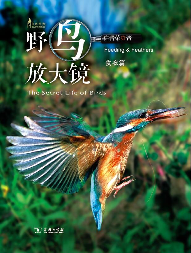 野鸟放大镜(食衣篇)/自然观察