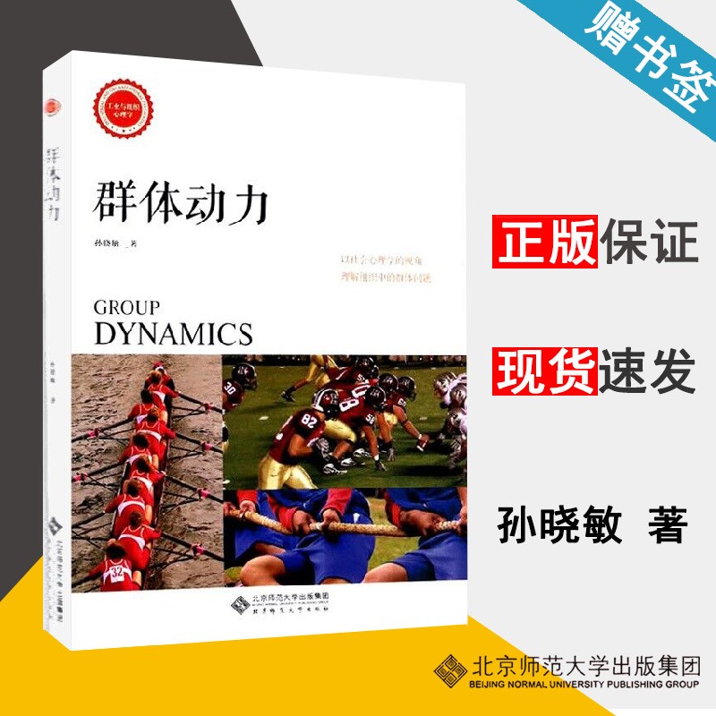 包邮 群体动力 孙晓敏 北京师范大学出版社 工业与组织心理学 群体心理机制