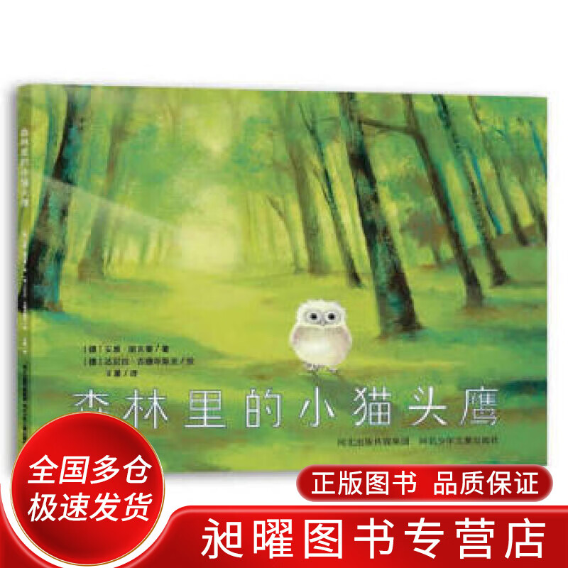 森林里的小猫头鹰【精选】