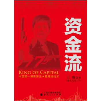 资金流 王晓 著【书】