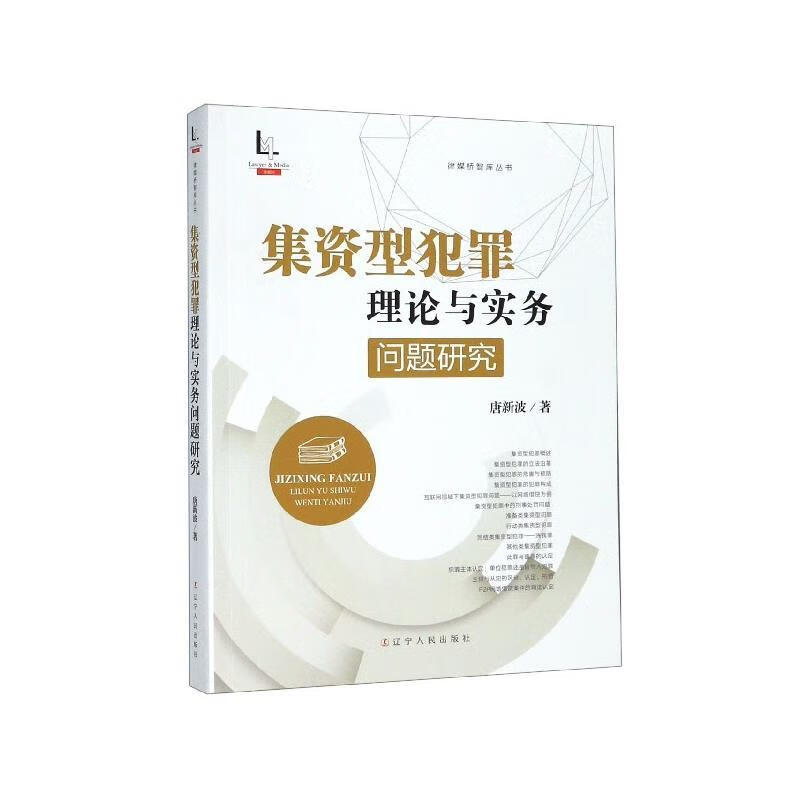 集资型犯罪理论与实务问题研究