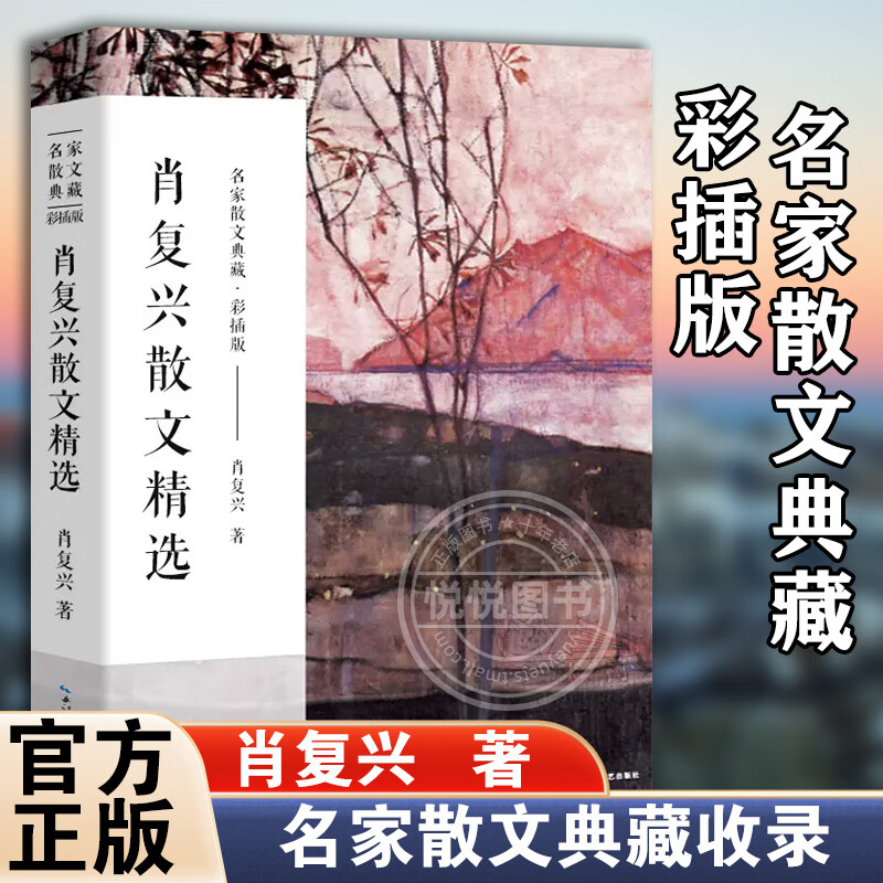 【现货速发】肖复兴散文精选 散文集 名家散文典藏收录那片绿绿的爬山虎手绘插图现当代文学散文精选集名