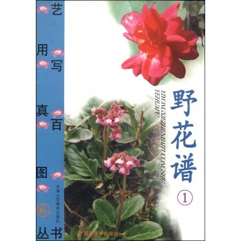 ！野花谱 ，费勇摄影 9787530512135 天津人民美术出版社