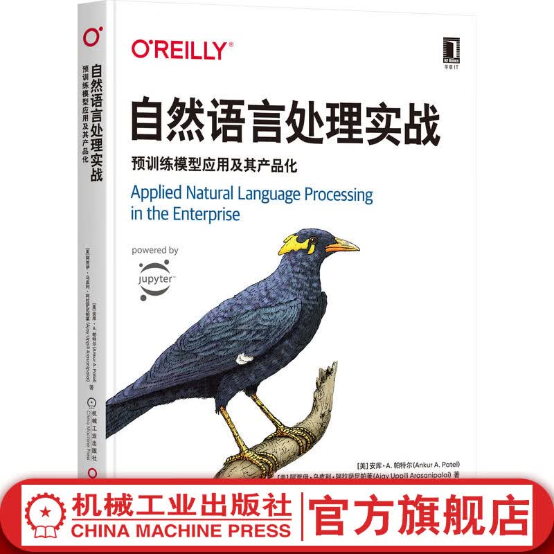 自然语言处理实战：预训练模型应用及其产品化