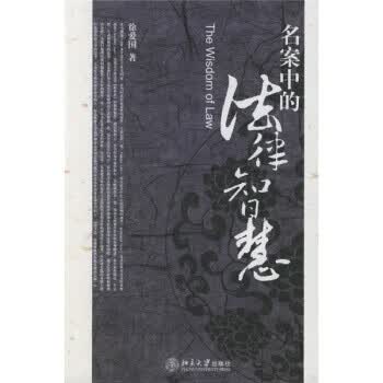 名案中的法律智慧 徐爱国 著