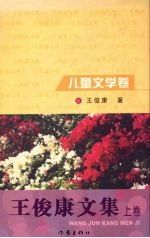 王俊康文集下文学卷