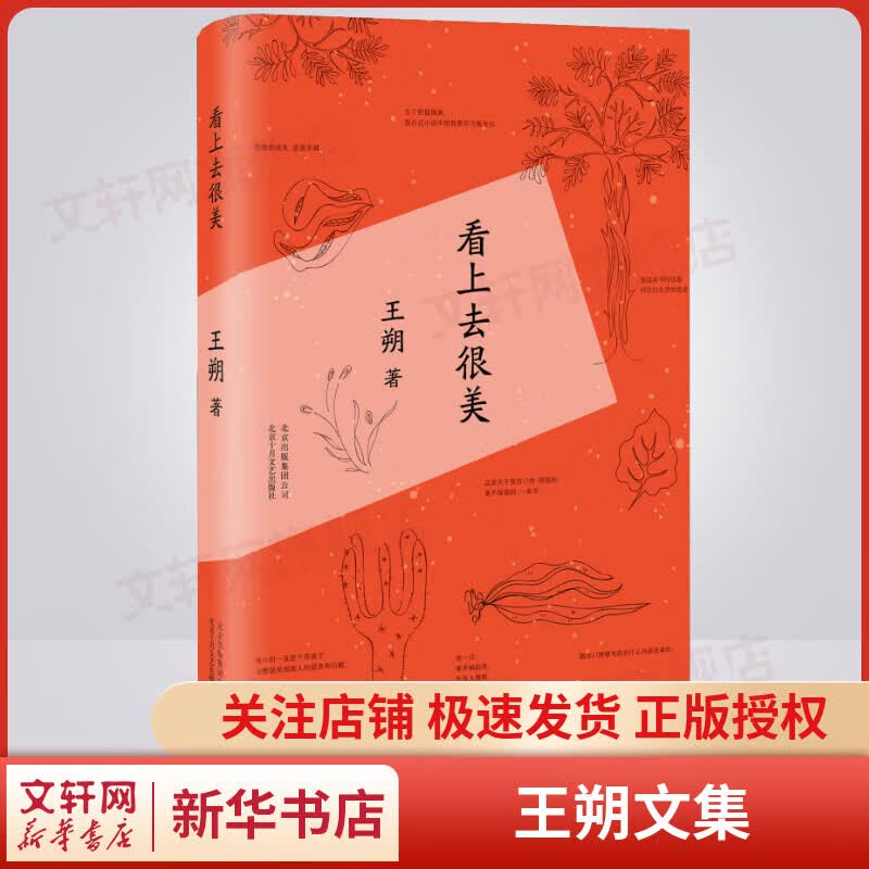 看上去很美 王朔文集 王朔经典作品