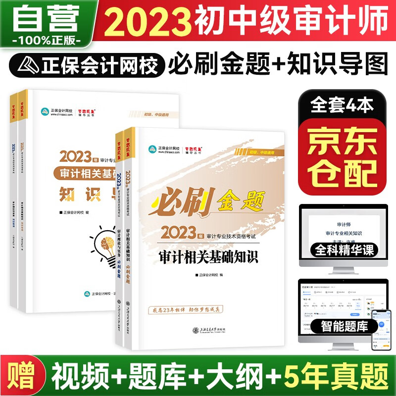 2023初中级审计师教材配套 必刷金题+知识导图（审计相关基础知识+审计理论与实务）4本套