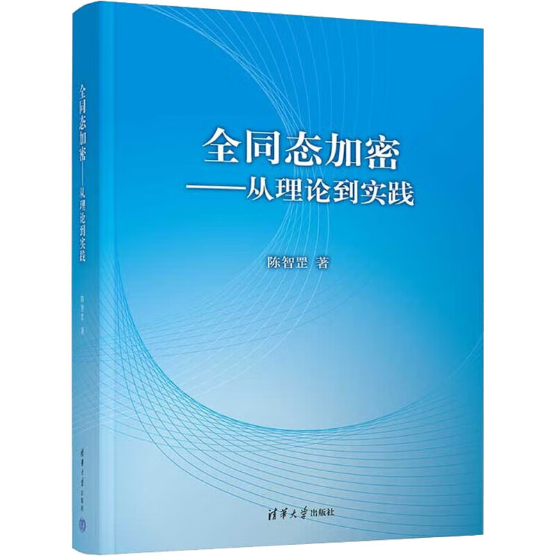 全同态加密——从理论到实践 陈智罡 书籍 图书