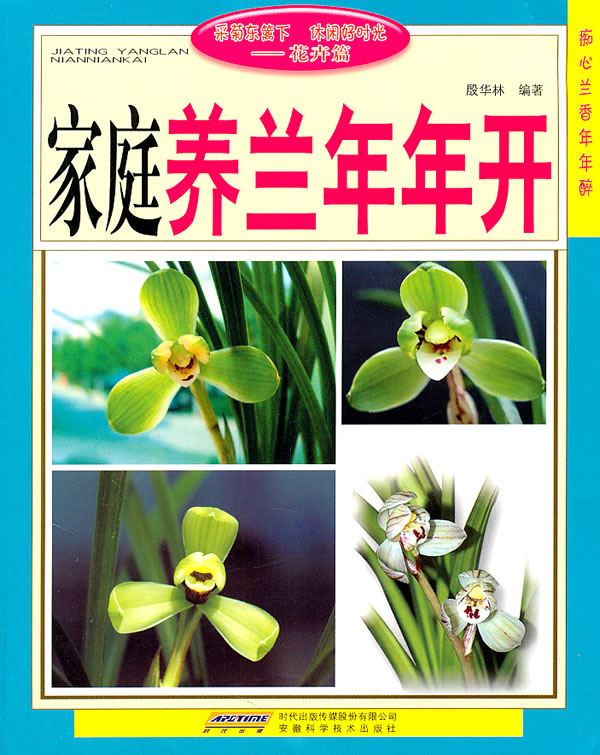 家庭养兰年年开【精选】