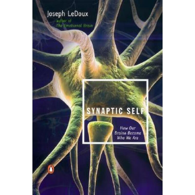Synaptic Self: How Our Brains Become Who We Are