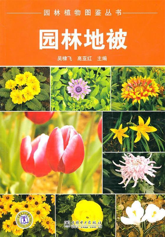 园林地被
