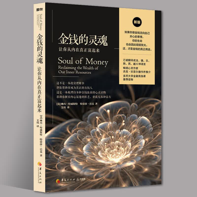 金钱的灵魂：让你从内在真正富起来 [美] 琳内·特威斯特 通俗经济学书籍 理财技巧书