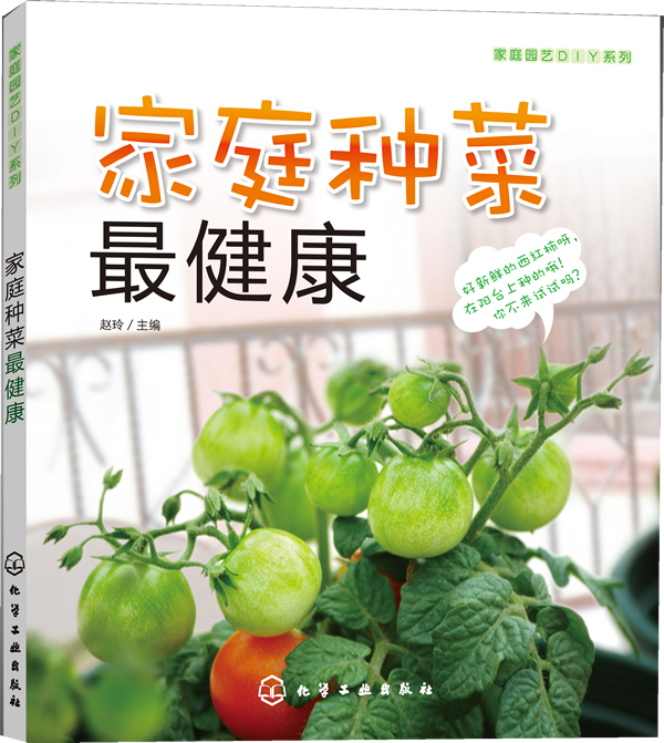 家庭园艺DIY系列 赵玲