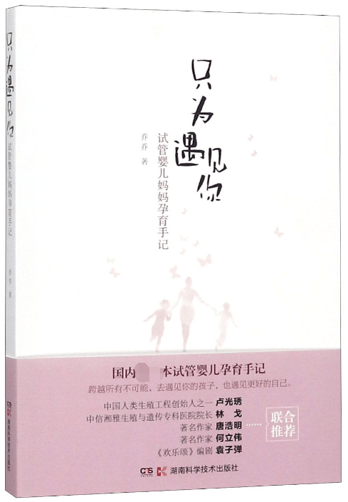 只为遇见你(试管婴儿妈妈孕育手记)