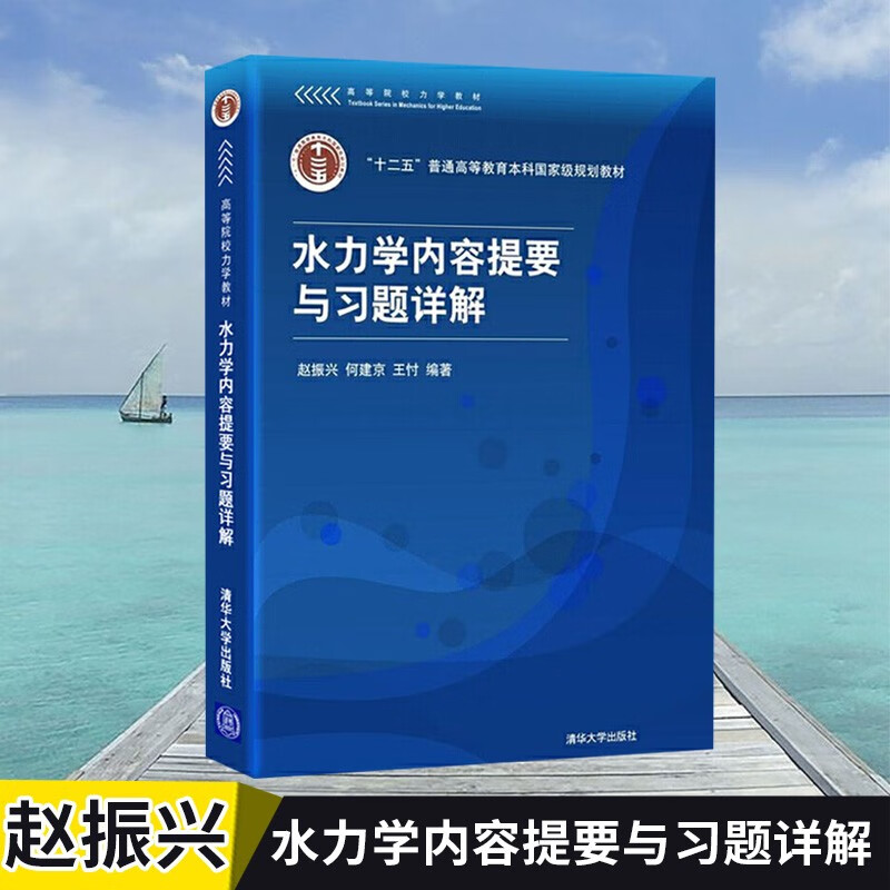 水力学内容提要与习题详解赵振兴 何建京 王忖大教材教辅 大学教材书籍 水静力学 液流阻力 污染物的输运和扩散