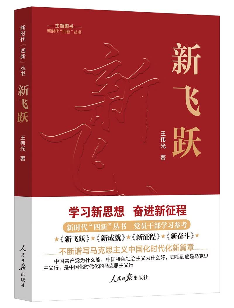 新时代“四新”丛书：新飞跃