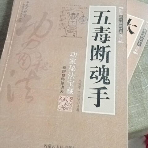 五毒断魂手 内蒙古人民出版社 , 2008.05