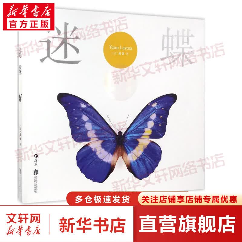 迷蝶