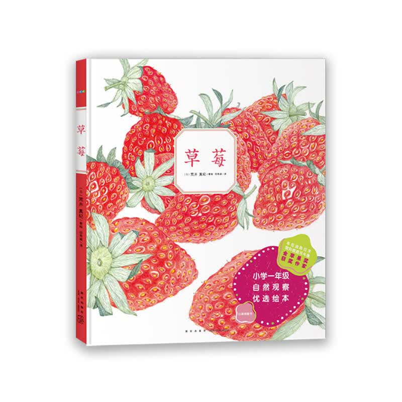 草莓 精装硬壳绘本诺贝尔科学馆小学一年级生长科学课自然观察优选绘本观察植物的生长3-4-5-6-7岁 草莓