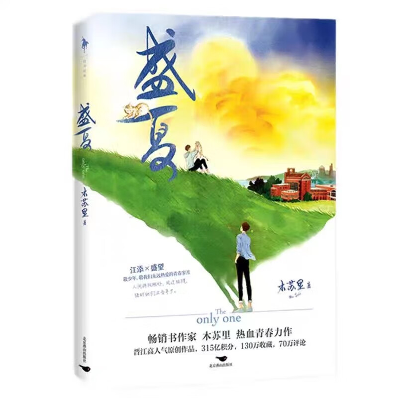 【系列】自选青春文学纯爱言情小说 盛夏 木苏里 某某