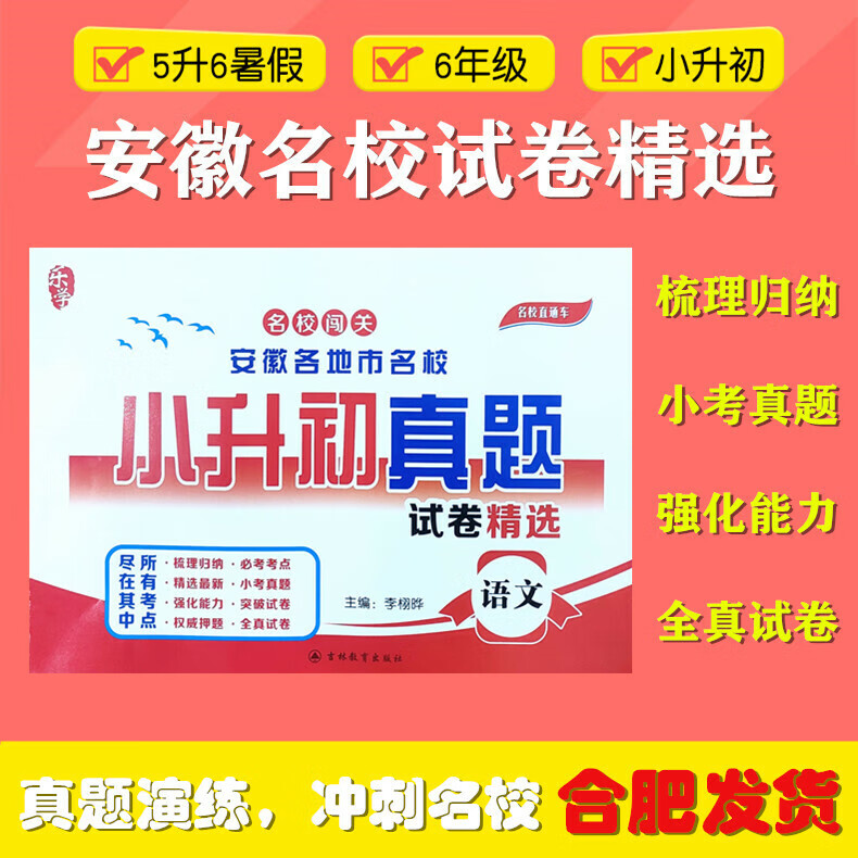 小升初安徽省小学毕业升学考试真题试卷语文数学英语漂读11大名校 乐学 语文 小学升初中
