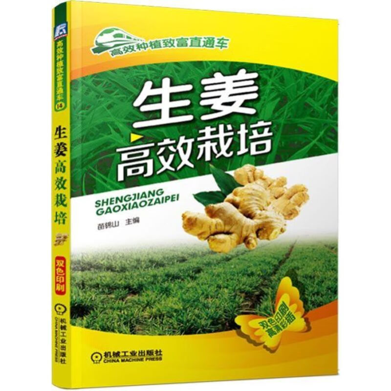套装 官网 生姜栽培种植技术 共2本 生姜高 效栽培+图说生姜高 效栽培 全彩版 轮作间作 套种技巧