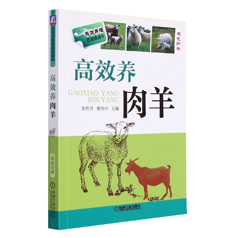高效养肉羊