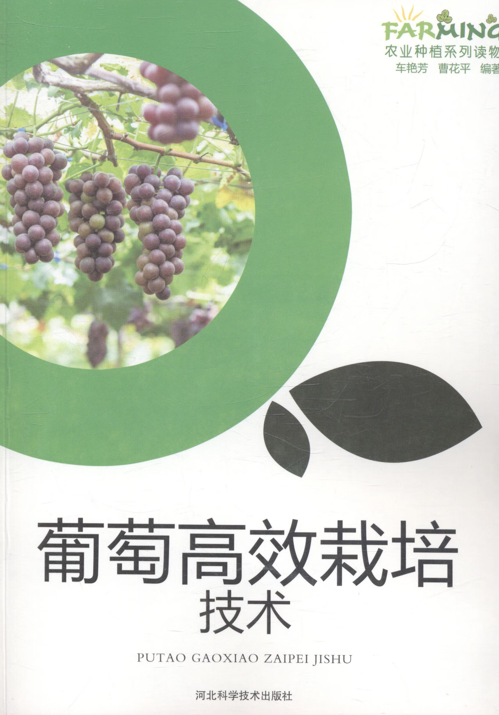 葡萄栽培技术/体育/运动/车艳芳，曹编著/河北科学技术出版社/9787537565233/书籍