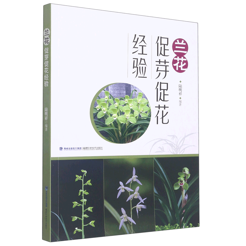 兰花促芽促花经验