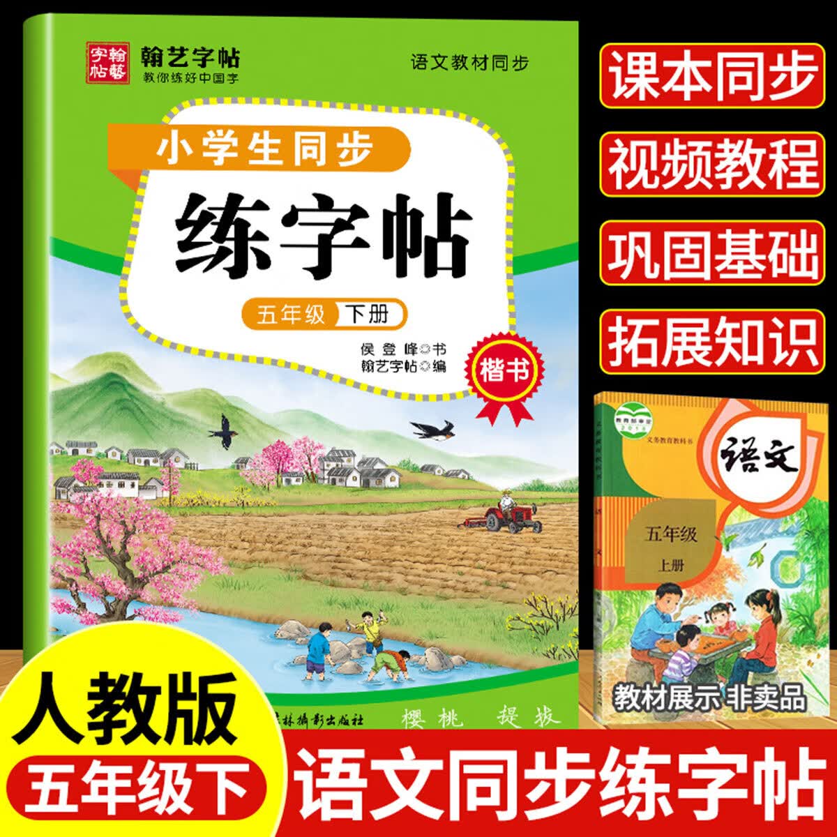 正规人教版小学生1~6年级同步练字帖楷书字帖课本生字练习册控笔训练 五年级下册 一年级下册