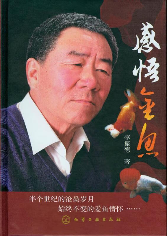 感悟金鱼【，放心购买】