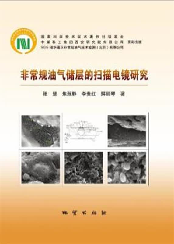 非常规油气储层的扫描电镜研究