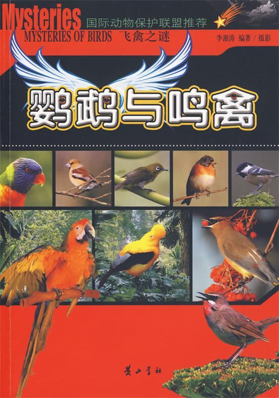 飞禽之谜. 鹦鹉与鸣禽