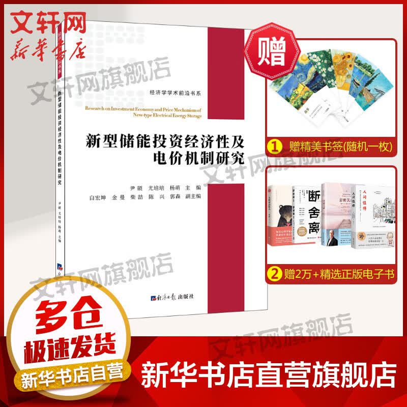 新型储能投资经济性及电价机制研究 图书