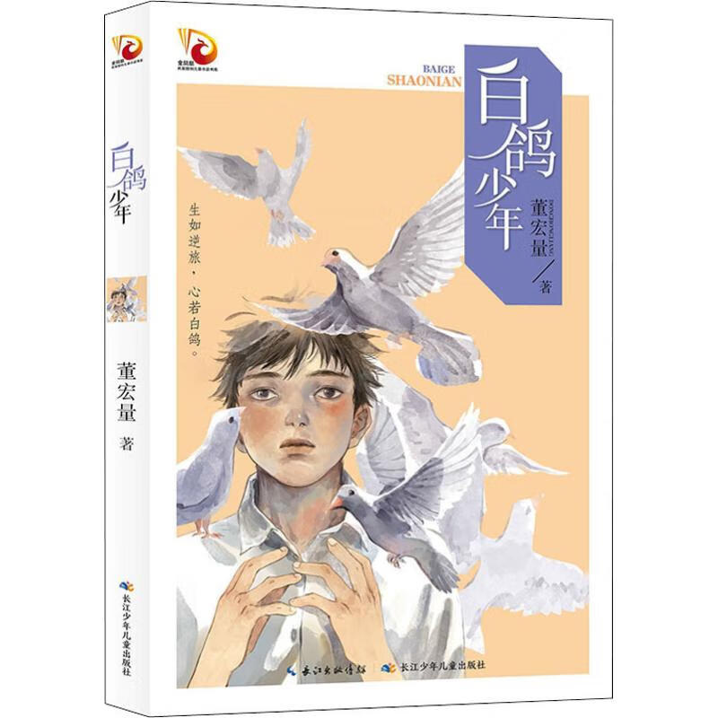 白鸽少年