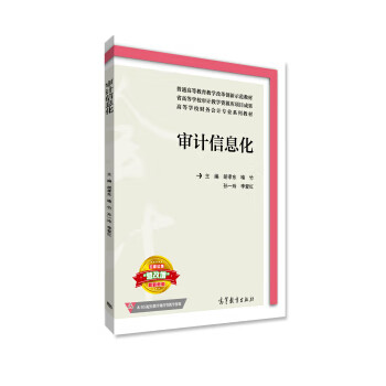 审计信息化 胡孝东,喻竹,孙一玲