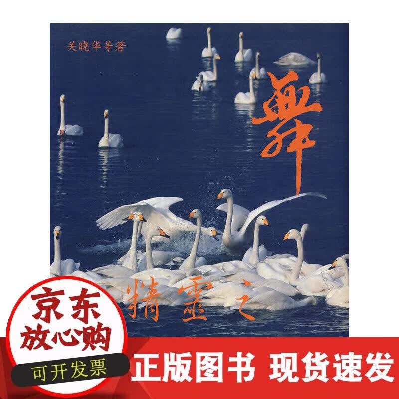 【现货】精灵之舞