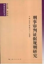 刑事审判证据规则研究