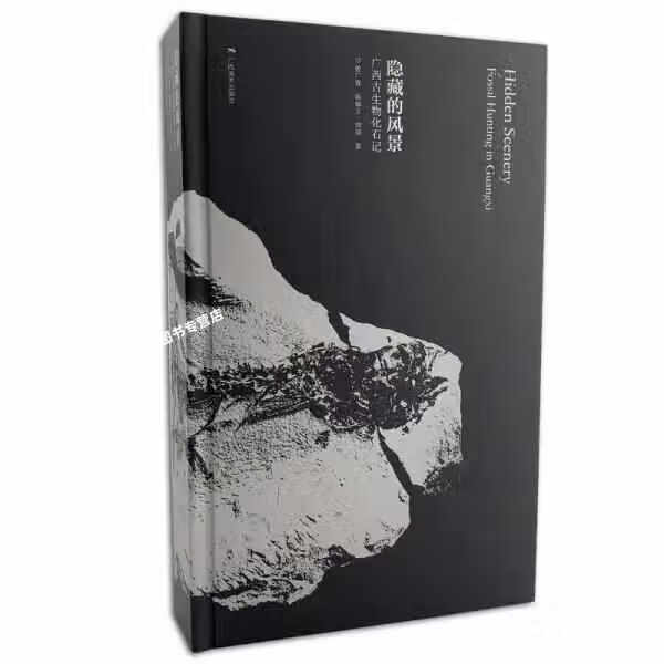 隐藏的风景·广西古生物化石记 曾广春 广西美术出版社 9787549419968