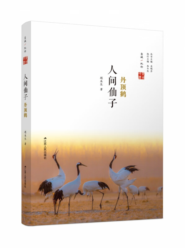 人间仙子：丹顶鹤