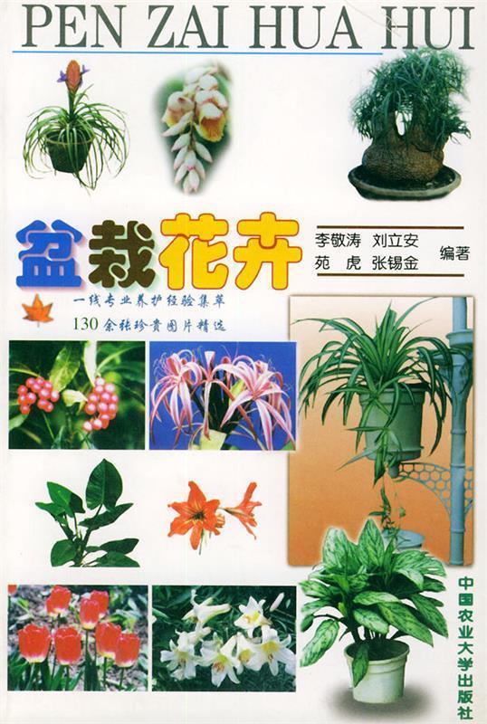 盆栽花卉 李敬涛 等编著