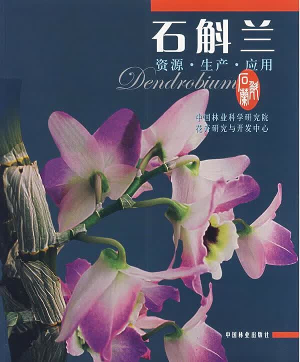 石斛兰:资源·生产·应用 王雁,李振坚,彭红明 9787503847813