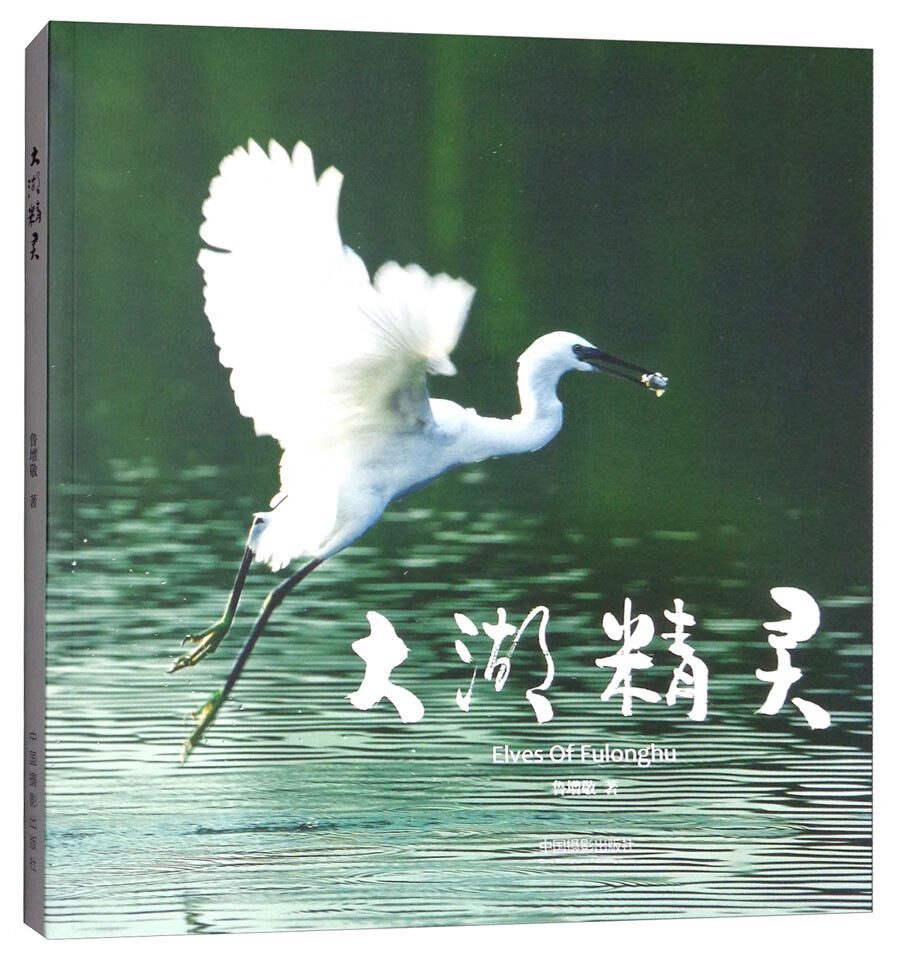 大湖精灵/书籍