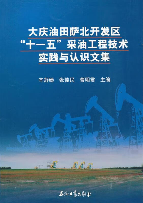 大庆油田萨北开发区十一五采油工程技术实践与认识文集 辛舒臻,张佳民,曹明君主编 石油工业出版社