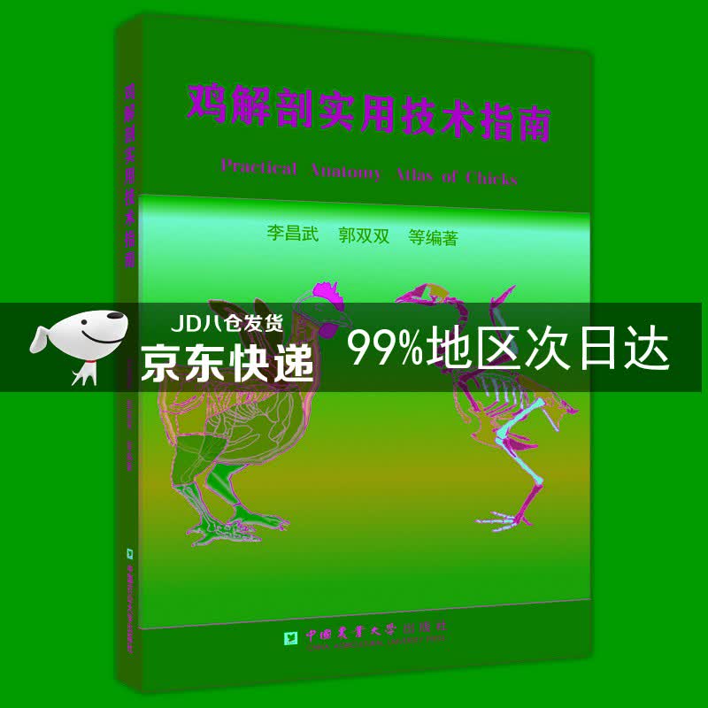 鸡解剖实用技术指南