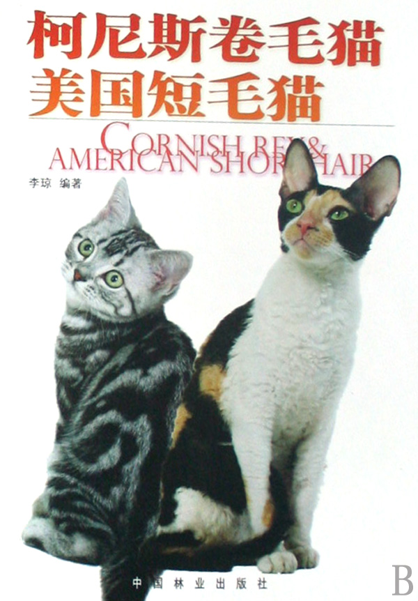 柯尼斯卷毛猫/美国短毛猫/家居/书籍
