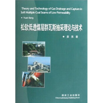 松软低透煤层群瓦斯抽采理论与技术 袁亮 煤炭工业出版社