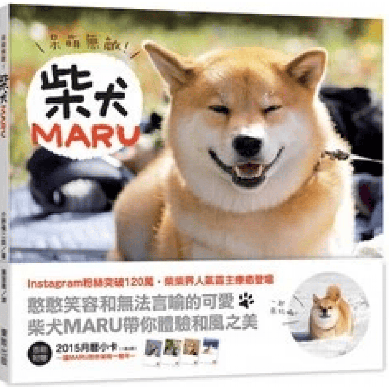 台版 呆萌 柴犬MARU 宠物图鉴喂养方式全攻略狗类知识大百科