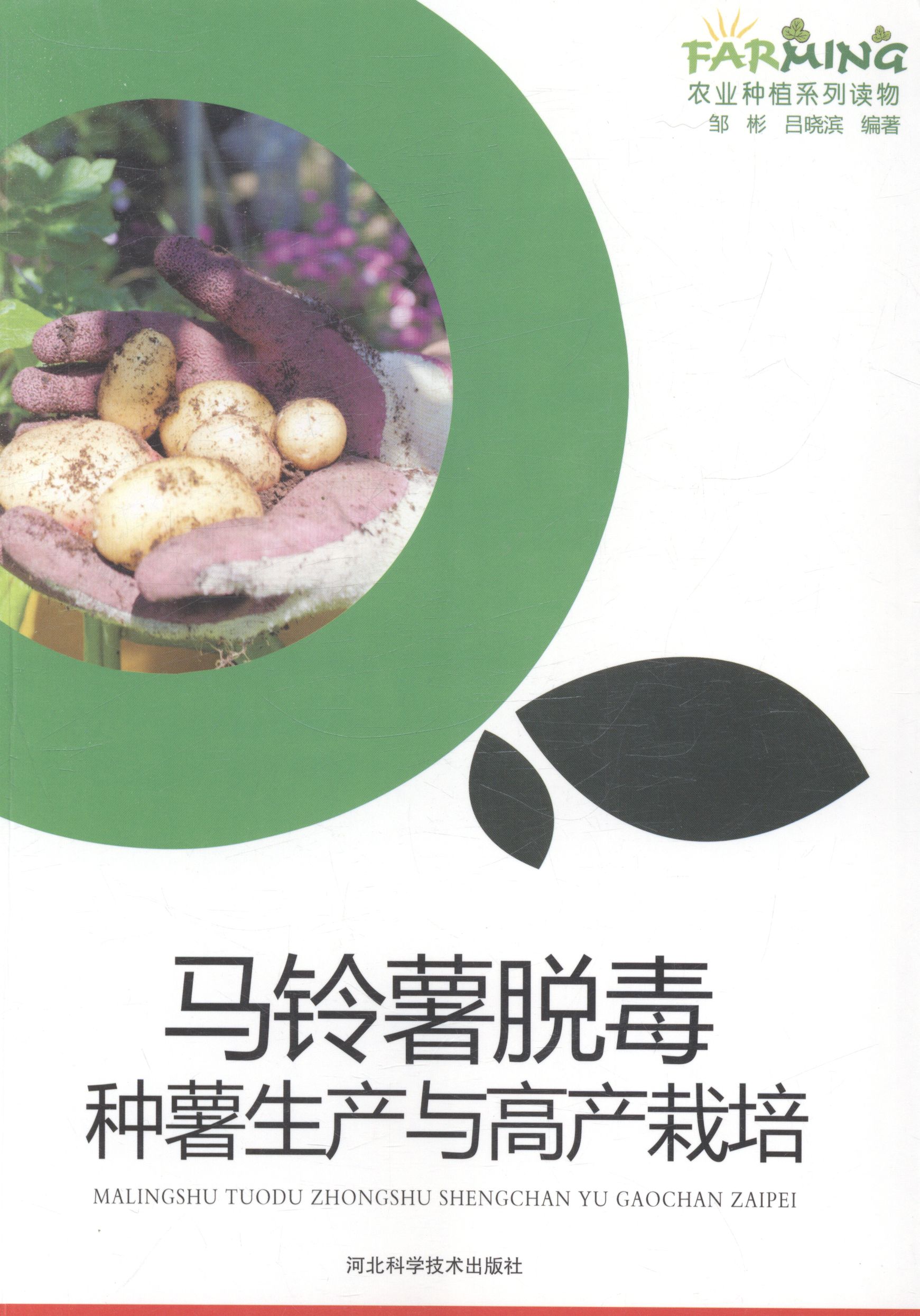 马铃薯脱毒种薯生产与高产栽培/体育/运动/邹彬，吕晓滨编著/河北科学技术出版社/9787537565/书籍